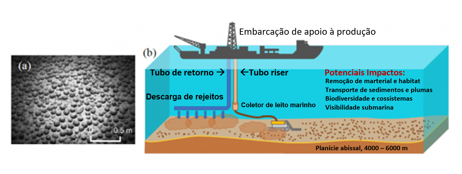 A Sequoia, o MIT e o Scripps irão desenvolver um instrumento para ...