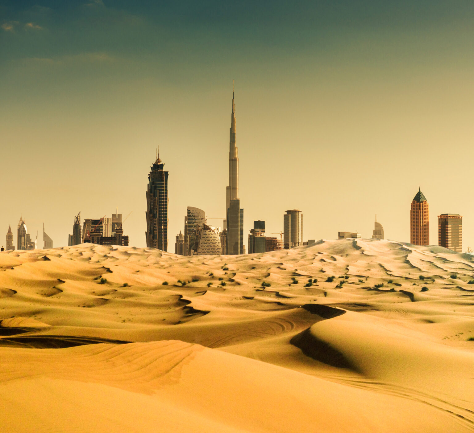 New Sequoia Distributor in UAE! - Sequoia ScientificSequoia Scientific