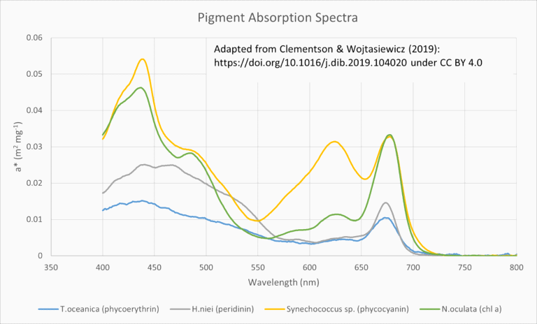 Beyond Chlorophyll: What the Full Absorption Spectrum Reveals About ...