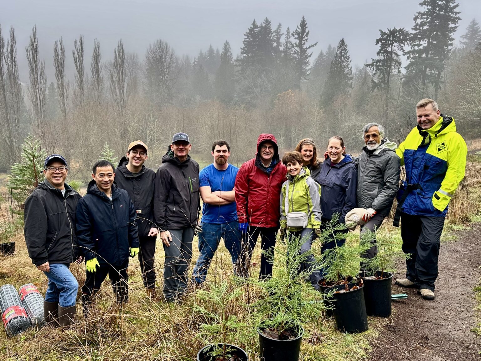 Improving urban space, Sequoia plants trees! - Sequoia ...