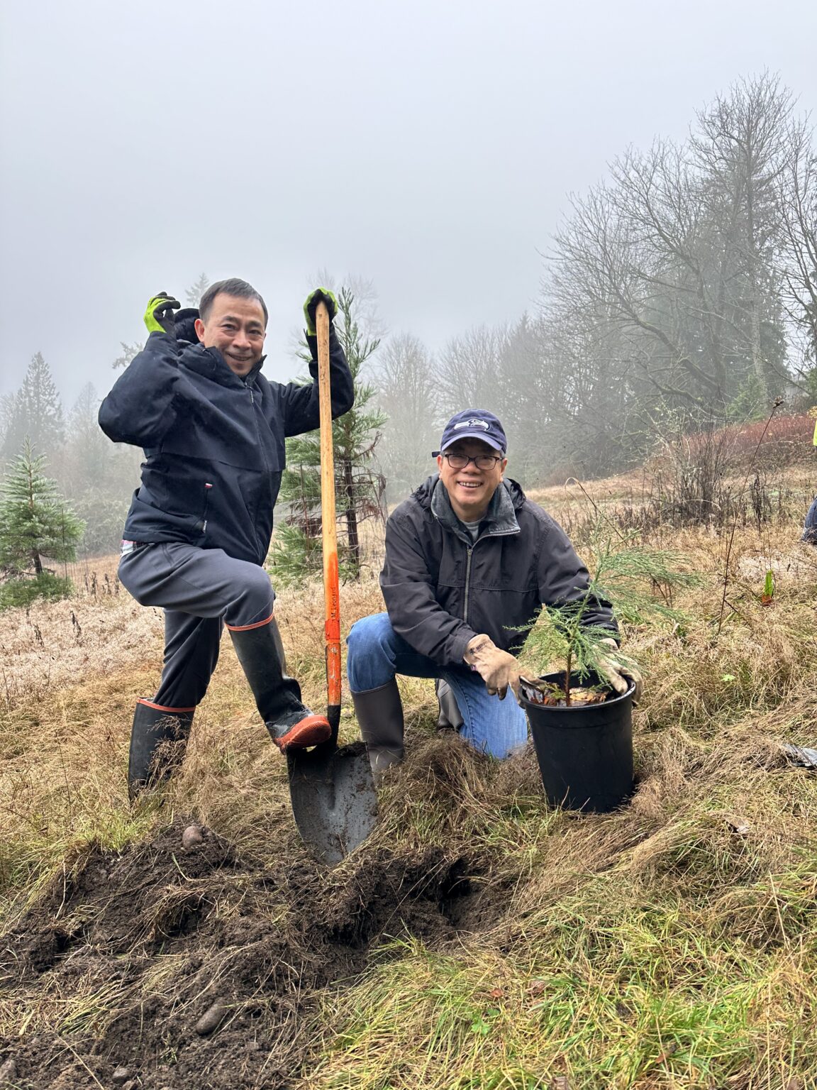 Improving urban space, Sequoia plants trees! - Sequoia ...