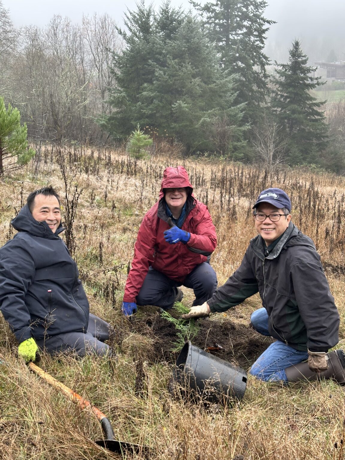 Improving urban space, Sequoia plants trees! - Sequoia ...